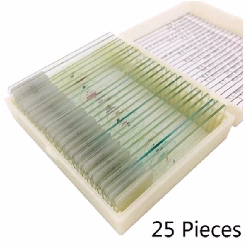 25 pc Prepared Microscope Slide Kit — Magnifying.com.au