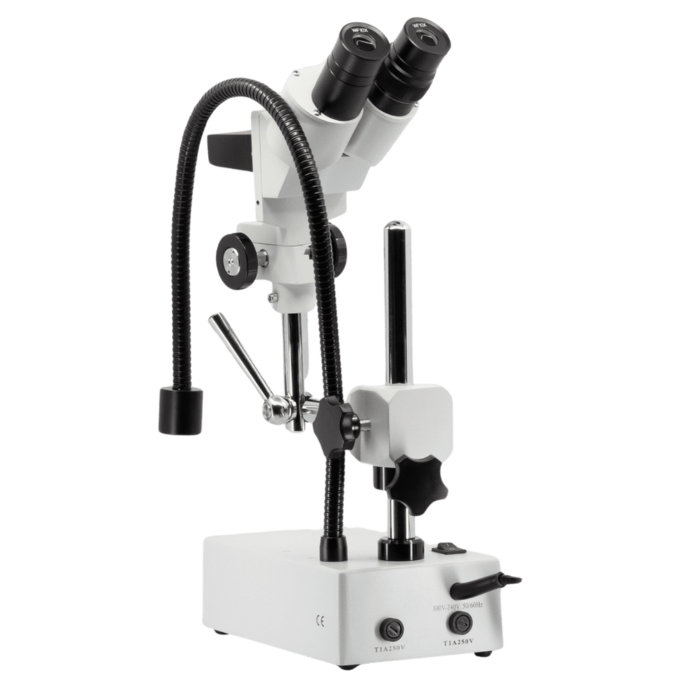 Compound Binocular Microscope | Magnifying.com.au