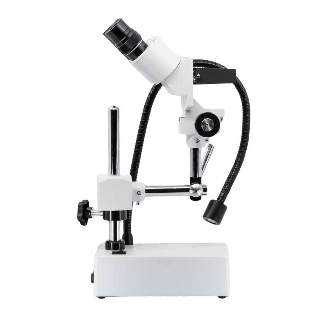 Compound Binocular Microscope — Magnifying.com.au